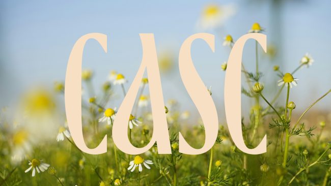 Casc Tonics – Parcour